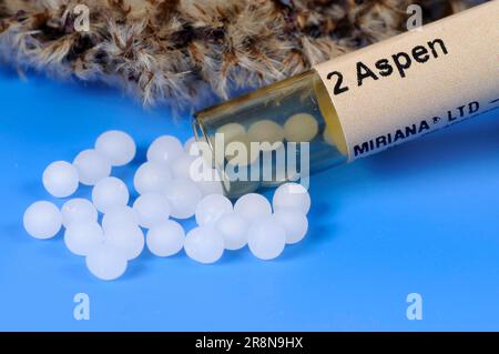 Bach flower globules, 'trembling poplar' (Populus tremula), aspen, Bach ...