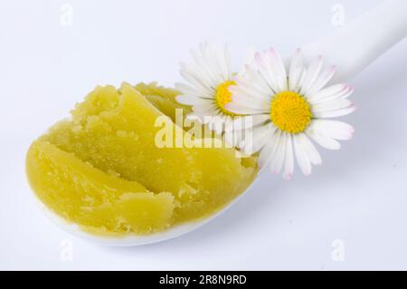 Common daisy ointment (Bellis perennis), daisy ointment, daisy balm ...