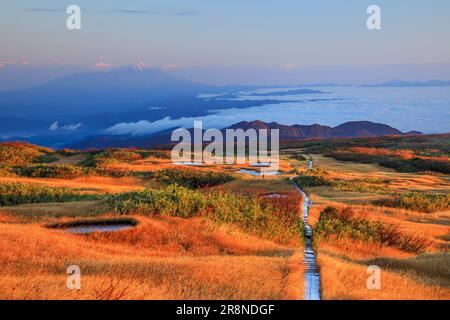 Midagahara Marsh and Mt. Chokaisan in the Morning Sun Stock Photo - Alamy