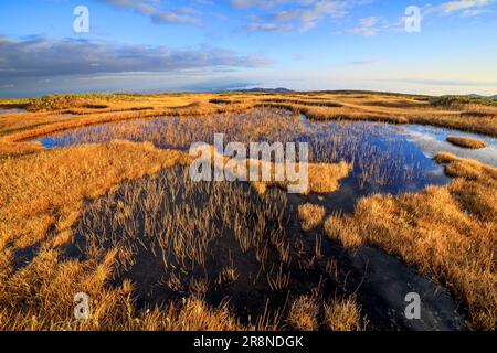 Midagahara Marsh and Mt. Chokaisan in the Morning Sun Stock Photo - Alamy