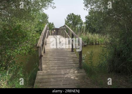 view of bridge on S’Albufera reserve, Mallorca, Balearic Islands, Spain ...