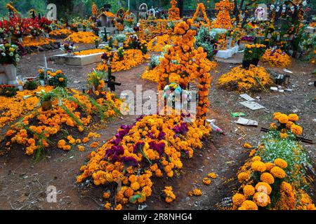 Graves decorated with marigold flowers are seen at a cemetery during ...