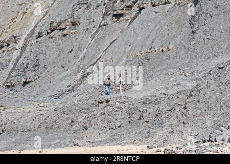 Charmouth fossil hunters too close to unstable cliffs Stock Photo - Alamy