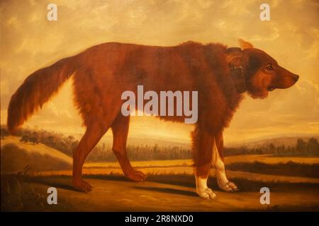 Painting of Lord Byron's Dog 'Lyon' (The Wolf Dog) by Clifton Tomson ...