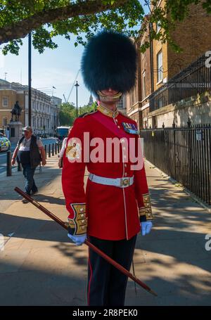 A soldier of the Grenadier Guards wearing a bearskin, Whitehall, London Stock Photo - Alamy