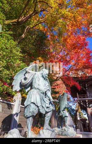 Tengu Statue at Mount Takao Yakuoin Temple Hachioji city Tokyo Japan ...