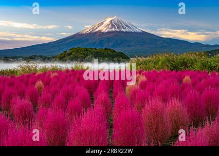 Kochia and Mt Stock Photo - Alamy