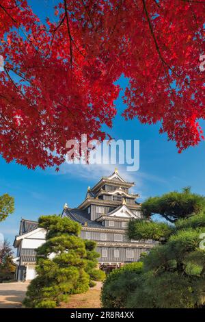 Fall colors and Okayama Castle Stock Photo - Alamy