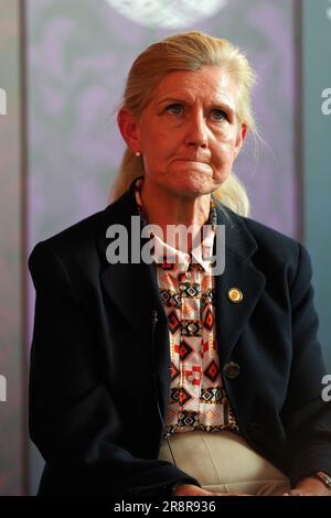 FIFA Vice-President Debbie Hewitt MBE speaks during the European ...
