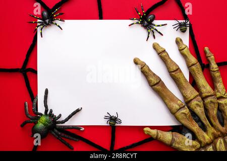 Halloween blank for invitation with black spiders, bat on grey. Flat ...