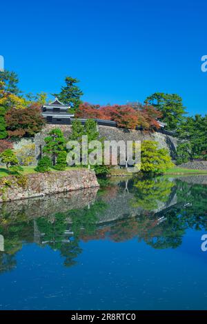 Fall foliage, Matsue Castle, and the moat Stock Photo - Alamy