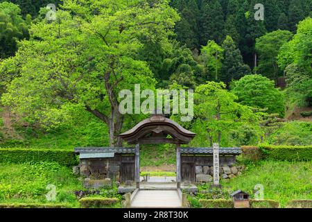 Ichijodani Asakura Clans Ruins in fresh green Stock Photo - Alamy