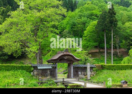 Ichijodani Asakura Clans Ruins in fresh green Stock Photo - Alamy