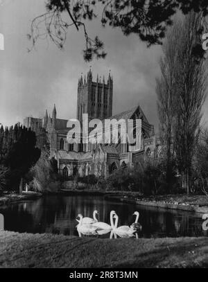Swans on the moat surrounding the Bishop's Palace at Wells, Somerset ...
