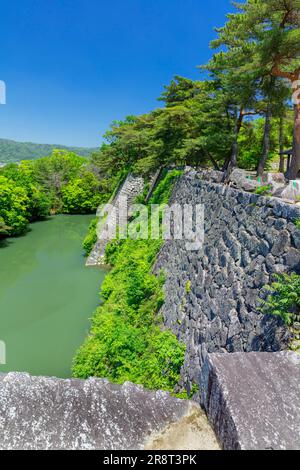 High stonewalls and inner moat of Iga-Ueno Castle in fresh green Stock ...