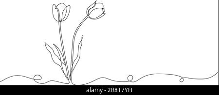 continuous single line drawing of tulips in flower vase, line art ...