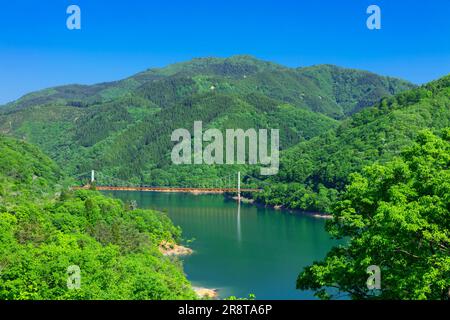 Lake Kuzuryu in fresh green Stock Photo - Alamy