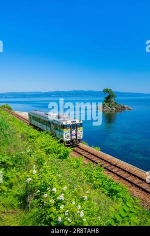 Ninja Hattori kun train of Himi Line running along Amaharashi coast ...
