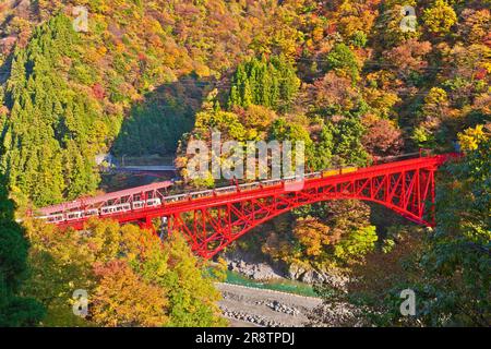Kurobe gorge railway, Yamabikobashi bridge and a trolley train Stock ...