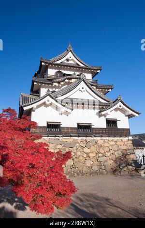 Fall foliage and the Hikone Castle Stock Photo - Alamy