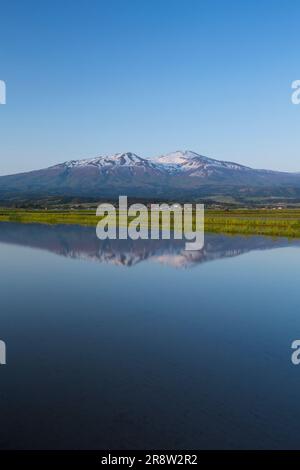 Mount Chokai and paddies Stock Photo - Alamy