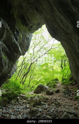 demon Tang Gate in Taishaku Valley Stock Photo - Alamy
