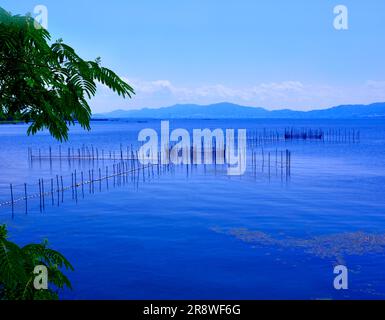 Lake Biwa trap fishing Stock Photo - Alamy