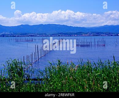 Lake Biwa trap fishing Stock Photo - Alamy