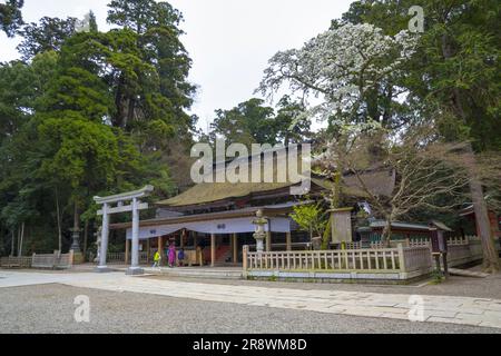 Kashima Jingu Shrine Stock Photo - Alamy