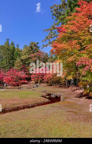 Motsu-ji Temple in Autumn Stock Photo - Alamy