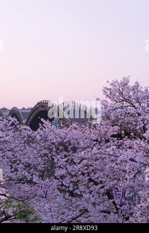 Kintai Bridge with blooming cherry blossoms Stock Photo - Alamy