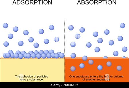 Adsorption and Absorption. Physical or chemical phenomenon. Absorption is process in which atoms ...