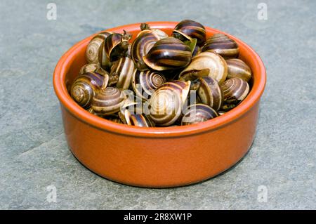 Traditional Portuguese dish of cooked snails and toasted bread and beer ...