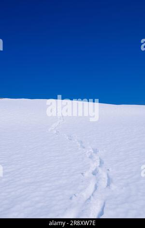 Tottori Sand Dunes in Winter Stock Photo - Alamy