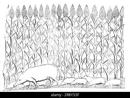 Detail from wall relief of Assyrian warships 700-692 BCE From Nineveh ...