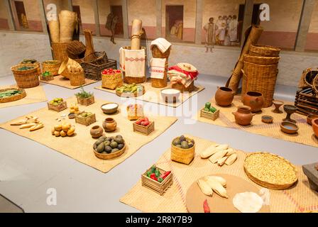 Display of Aztec foods and market, archaeological site and museum of ...