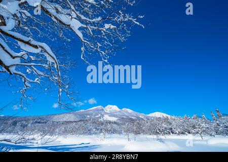 Imori Pond and Mt. Myoko in winter Stock Photo - Alamy