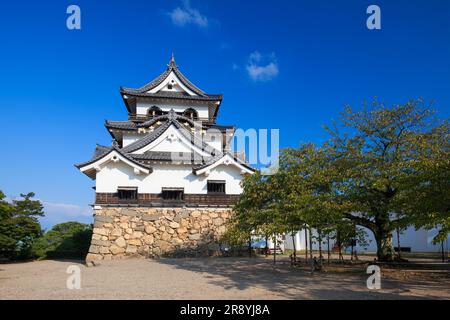 Hikone Castle Tenshukaku (castle tower Stock Photo - Alamy