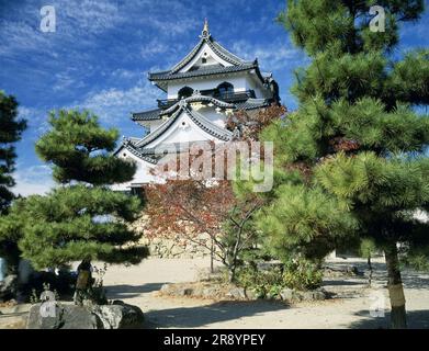 Hikone Castle in Autumn Stock Photo - Alamy