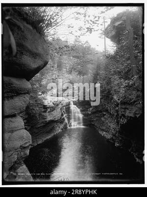 Scranton, United States. 19th Aug, 2023. Aadi Patel 4, is dressed as ...