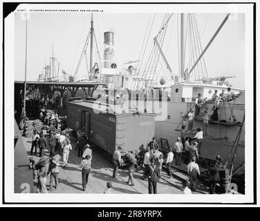 Vintage 1900s Banana docks unloading New York one of the busiest port ...