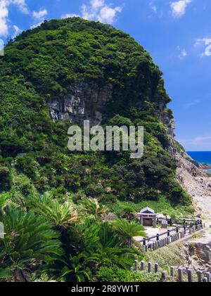 Cycad natural habitat and Misaki shrine, Cape Toi Stock Photo - Alamy