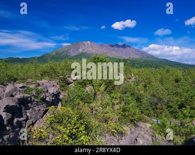 Sakurajima from Karasujima viewing location Stock Photo - Alamy