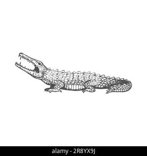 Alligator sketch, crocodile ancient aztec animal, vintage reptile icon ...