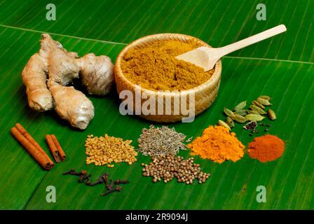 Curry powders and ingredients, cinnamon, ginger, cumin, fenugreek ...