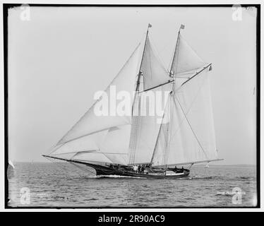 Adrienne, between 1892 and 1899. Showing the black hulled fishing ...