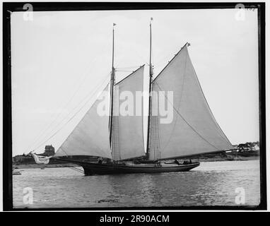Adrienne, between 1892 and 1899. Showing the black hulled fishing ...