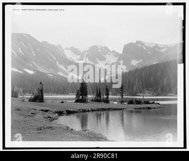 Ward, Boulder, Colorado, United States, Bombus (Pyrobombus) melanopygus ...
