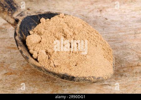 Amchur, mango powder Stock Photo - Alamy