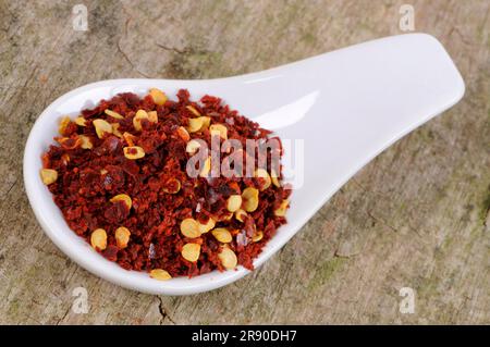 Chilli, coarsely ground (Capsicum annuum Stock Photo - Alamy
